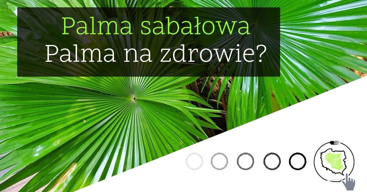 Palma sabałowa. Palma na zdrowie? Właściwości i skuteczność palmy